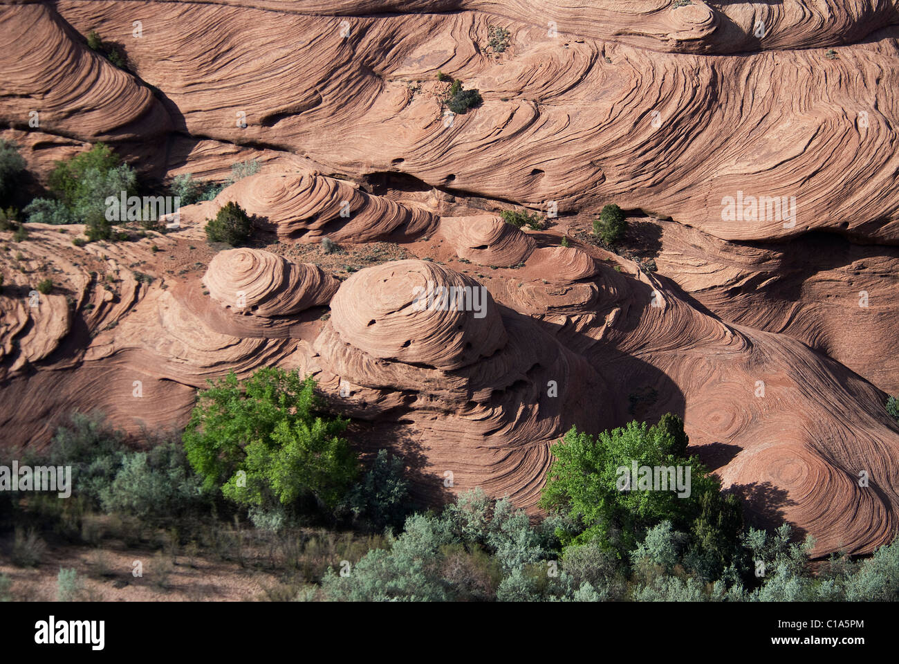 Wavy Rock Formations from White House Overlook Canyon de Chelly ...