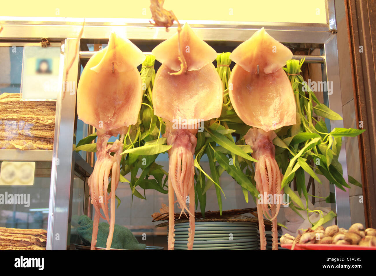 squid on eastern market Stock Photo - Alamy