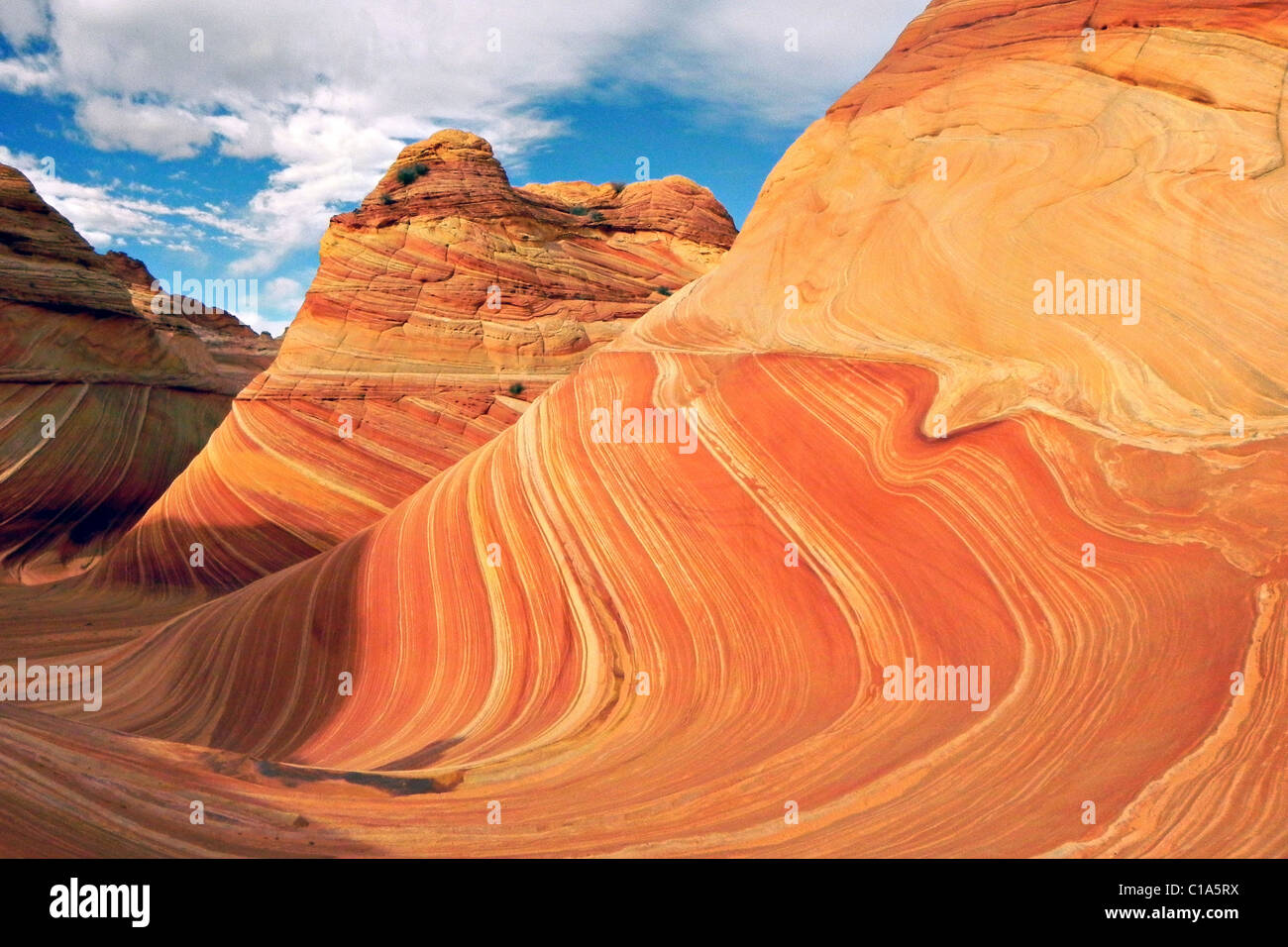 The wave in Utah in the desert lots of color Stock Photo - Alamy