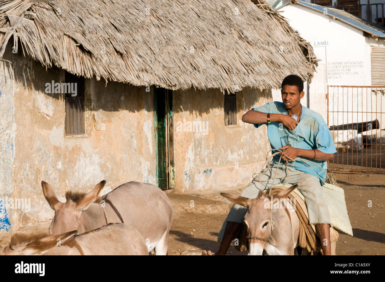 Foreshore scene, Old Stone Town, Lamu, Kenya Stock Photo - Alamy