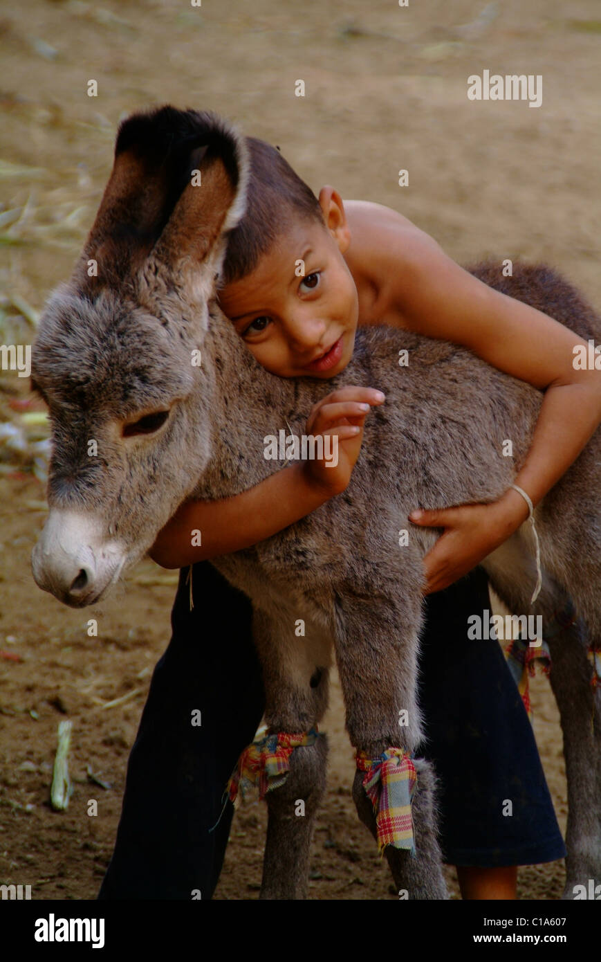 A boy showing compassion for his baby donkey Stock Photo - Alamy