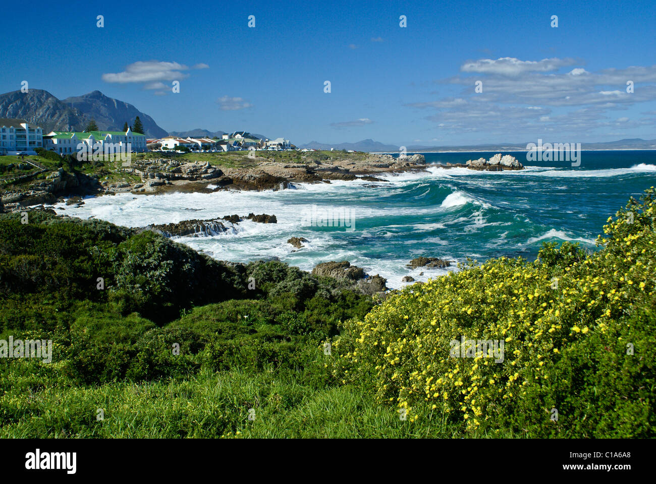 Hermanus and Walker Bay, Western Cape, South Africa Stock Photo - Alamy
