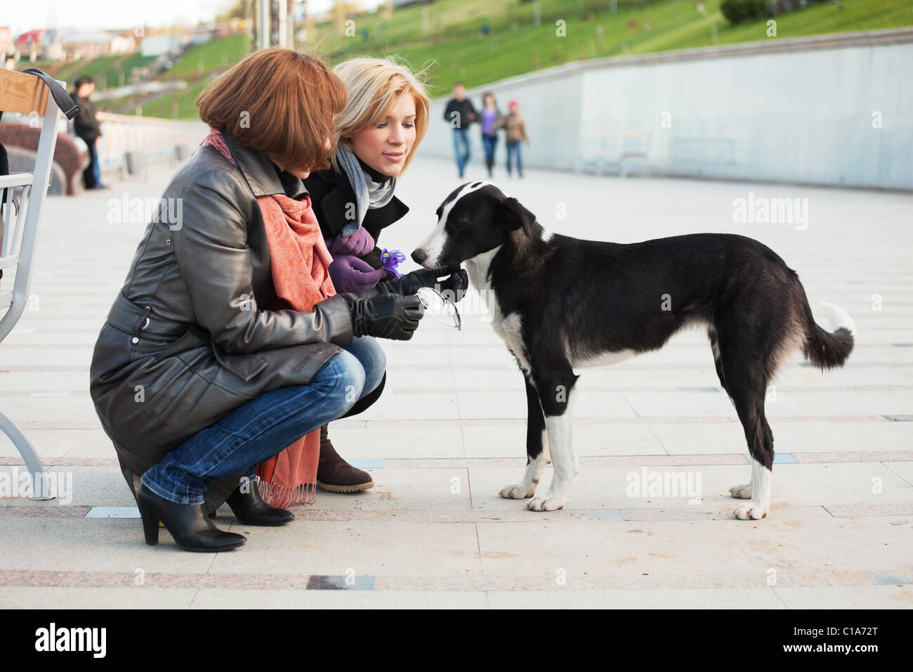 Two young women with a stray dog Stock Photo - Alamy