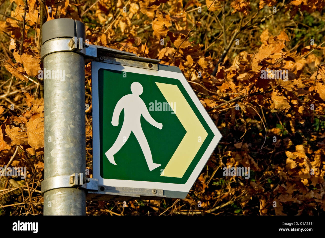 Close up of public footpath path walking walk walks route sign signs ...