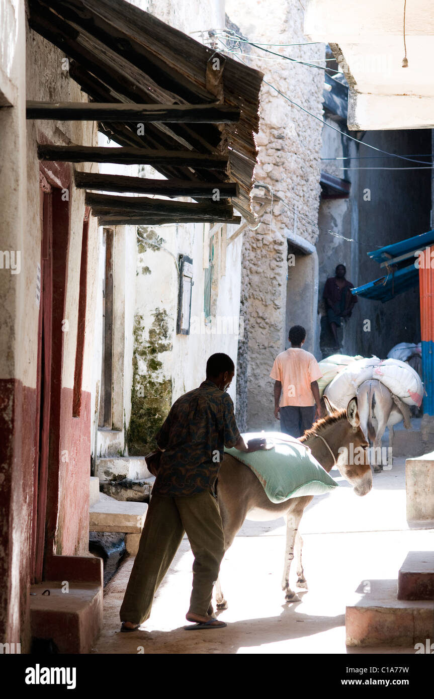 Street scene, Old Stone Town, Lamu, Kenya Stock Photo - Alamy