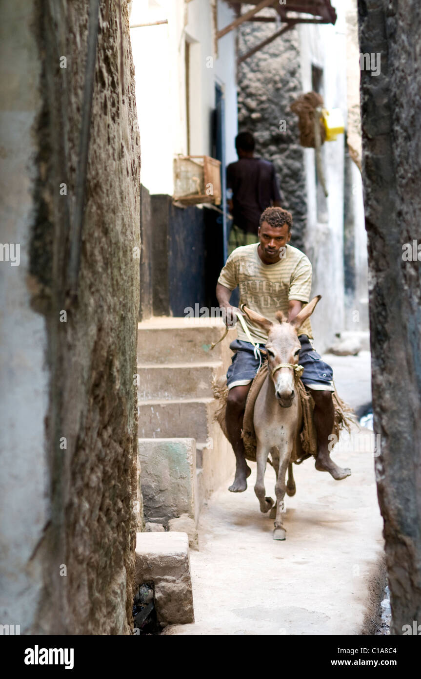 Street scene, Old Stone Town, Lamu, Kenya Stock Photo - Alamy