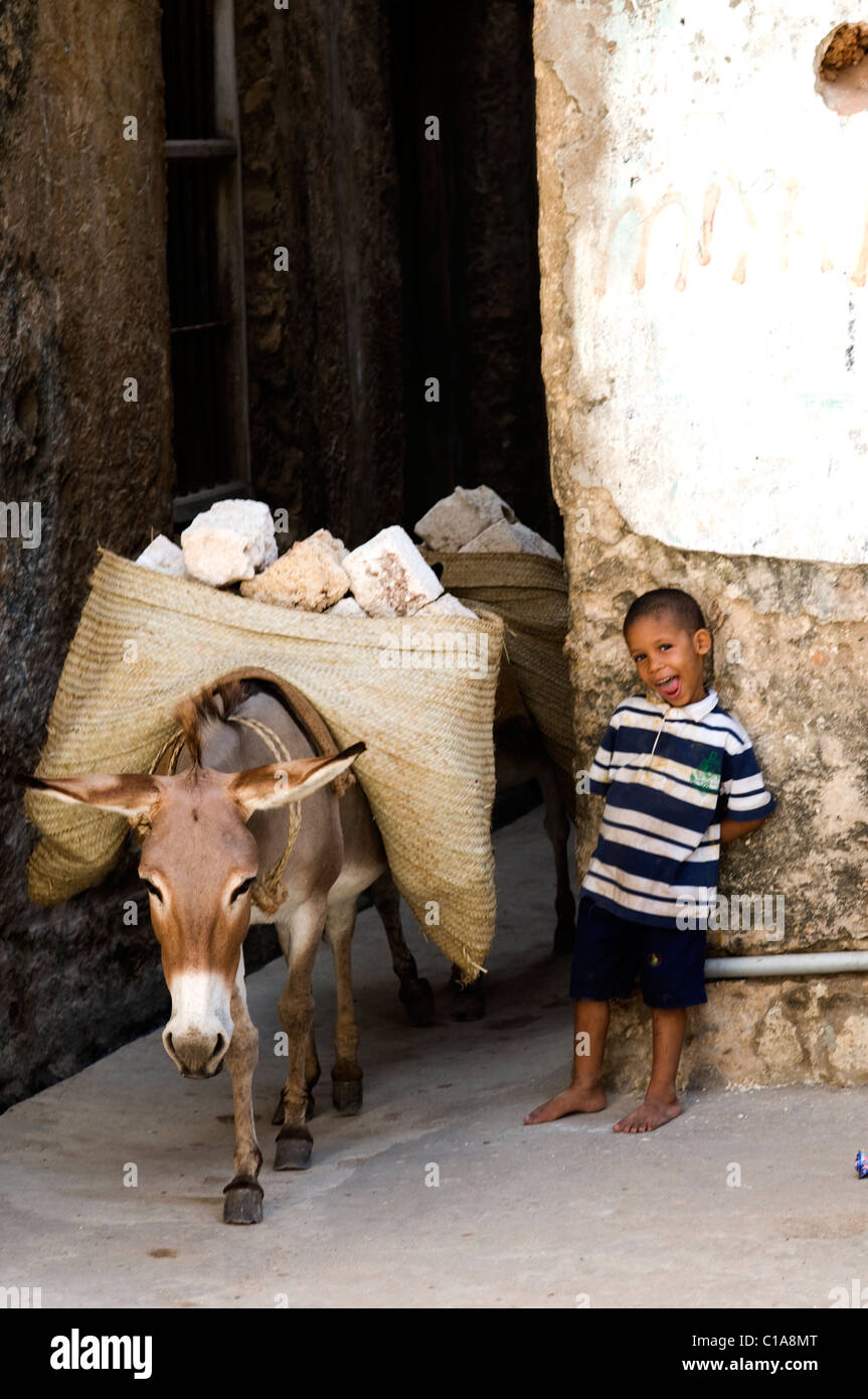 Street scene, Old Stone Town, Lamu, Kenya Stock Photo - Alamy