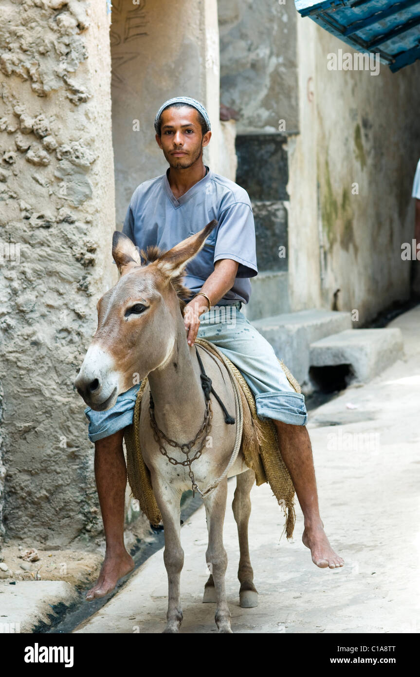 Street scene, Old Stone Town, Lamu, Kenya Stock Photo - Alamy