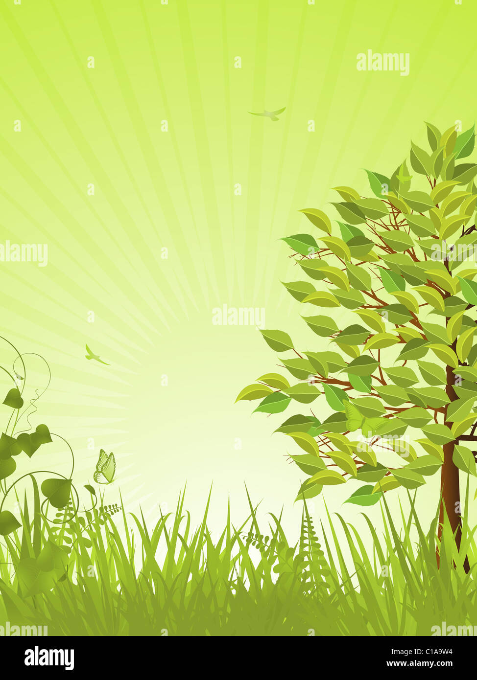 Spring background vector with butterflies, grasses, tree and subtle ...