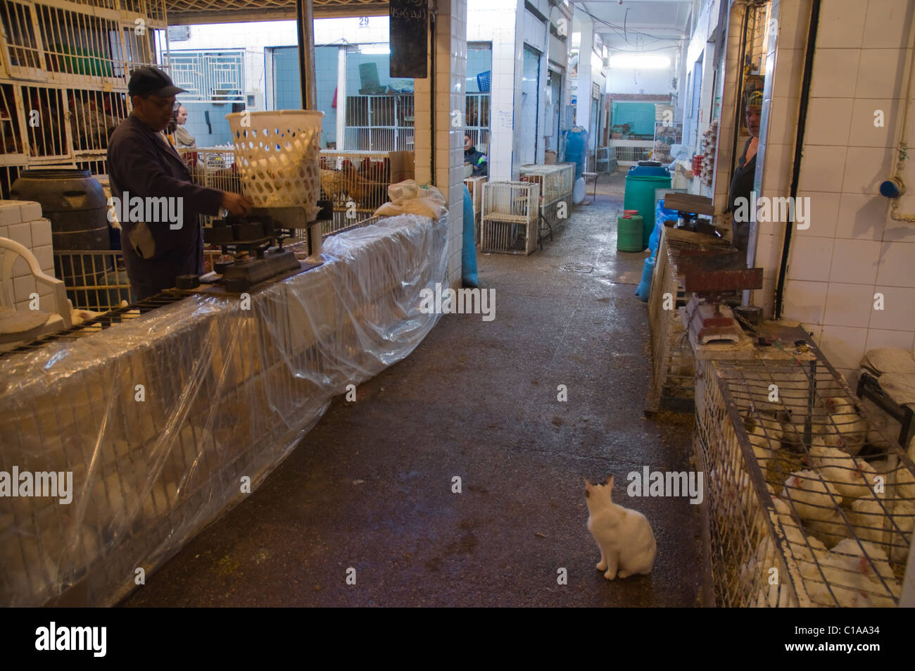 Poultry shop hi-res stock photography and images - Alamy