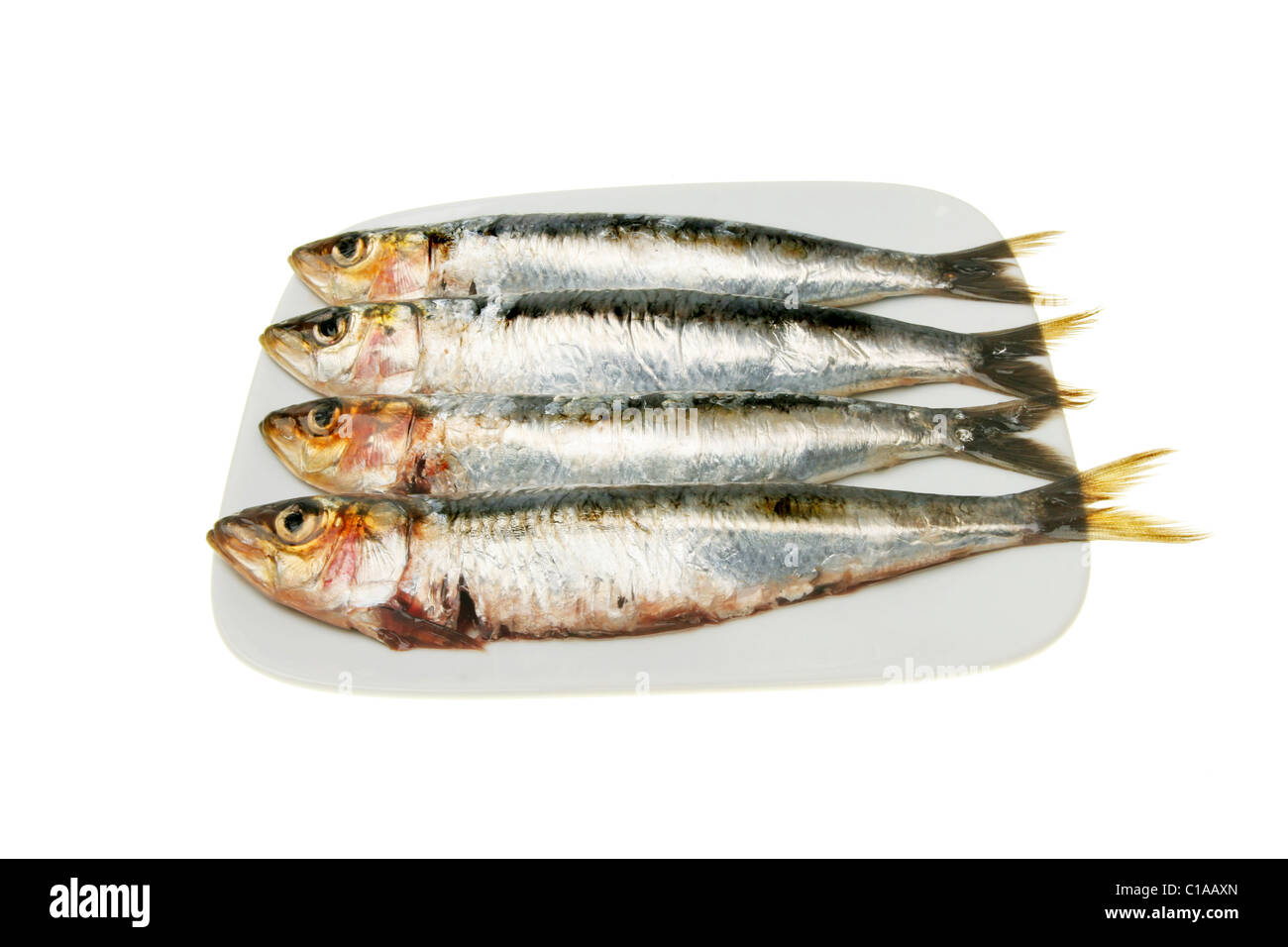 Sardines on a plate isolated against white Stock Photo - Alamy