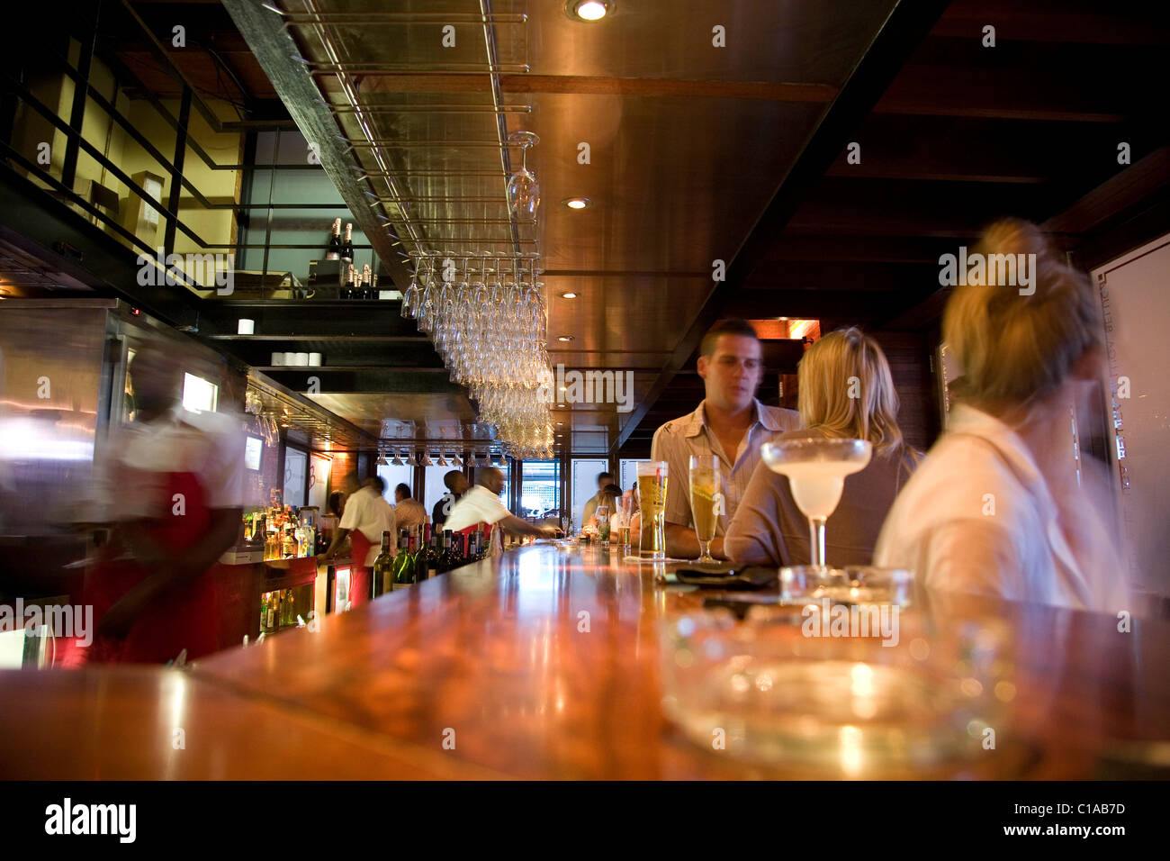 Beluga Bar in Cape Town - South Africa Stock Photo - Alamy