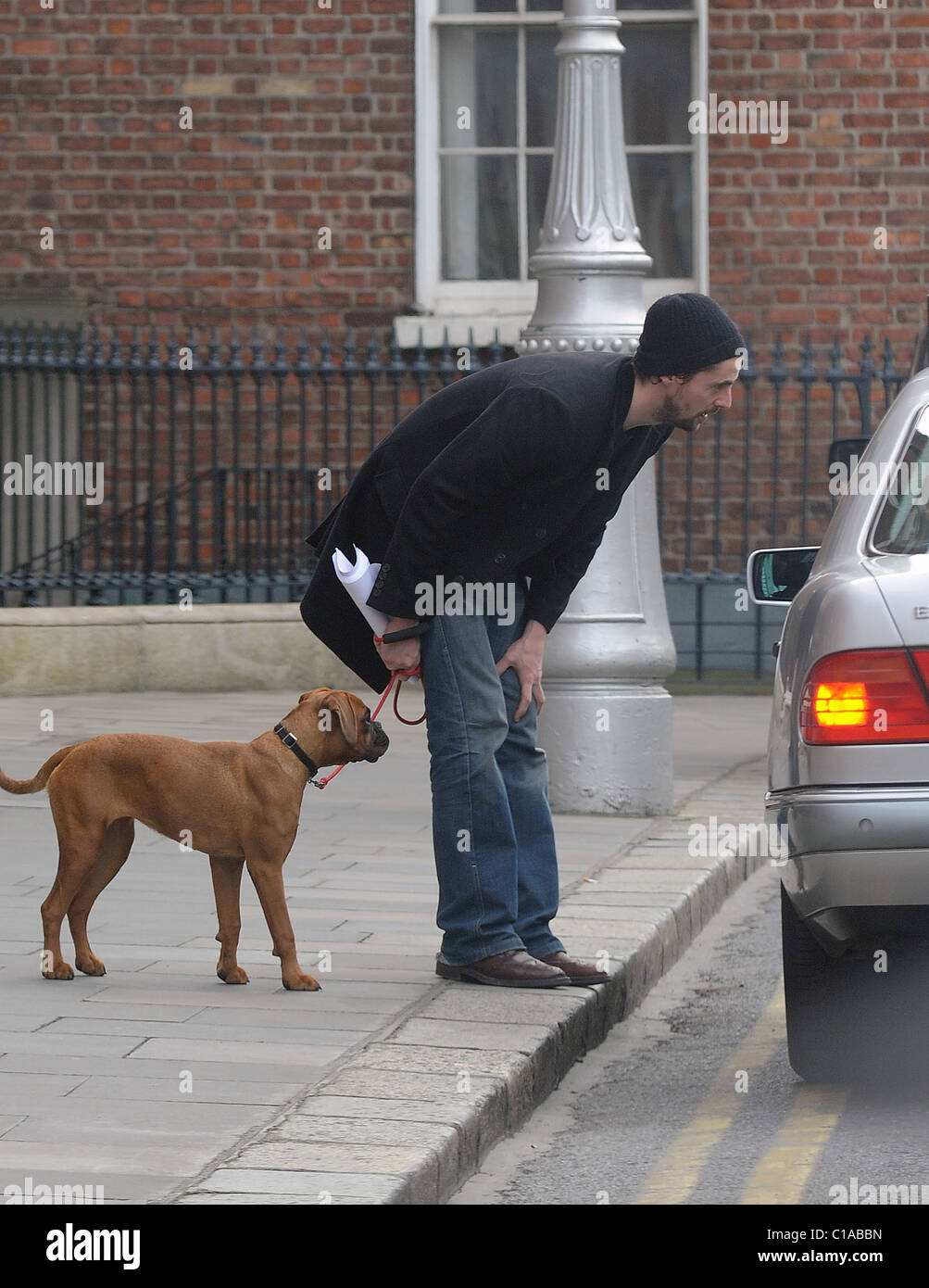 Watchmen star Matthew Goode hailing a taxi with his Boxer puppy Dublin ...