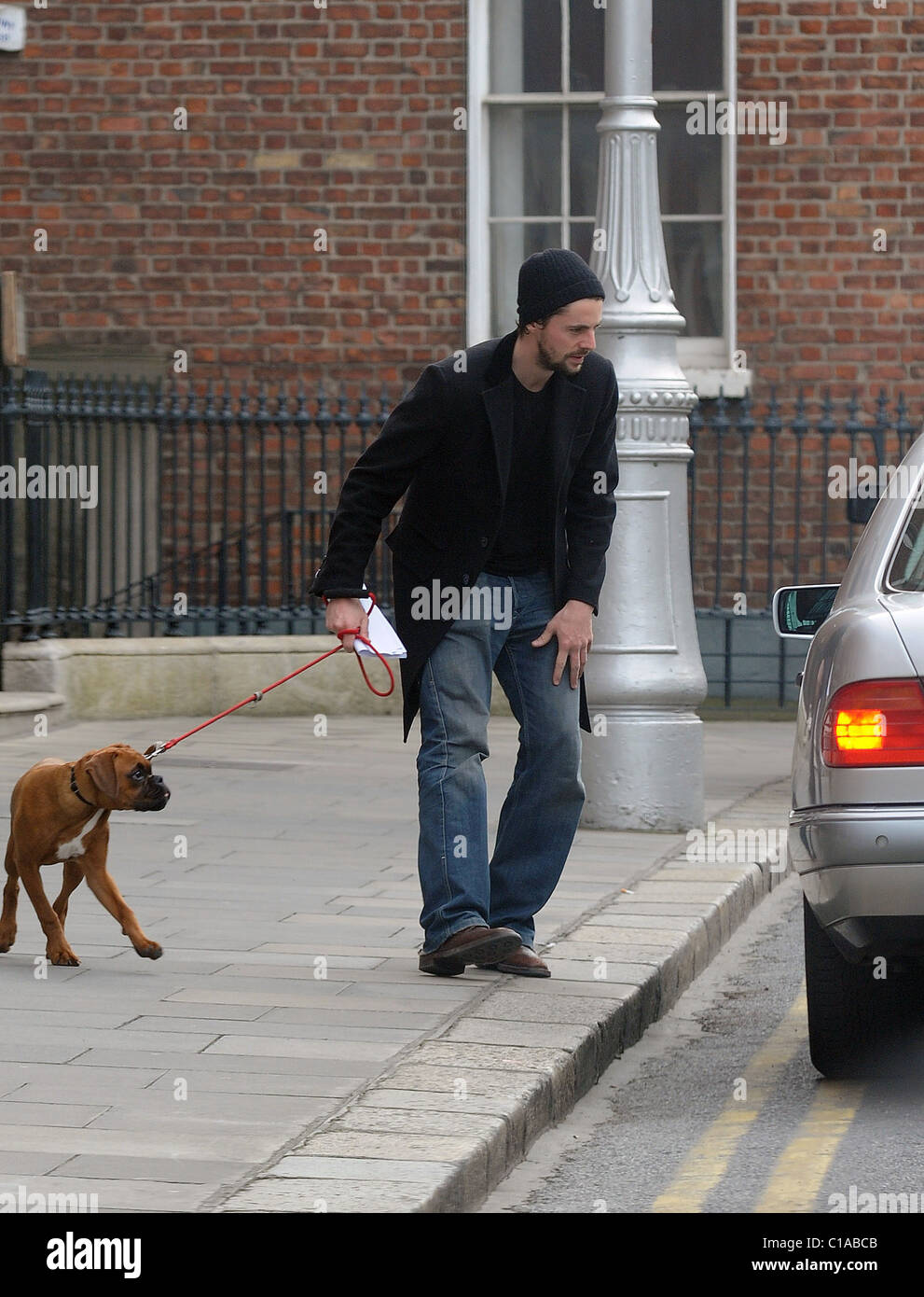 Watchmen star Matthew Goode hailing a taxi with his Boxer puppy Dublin ...
