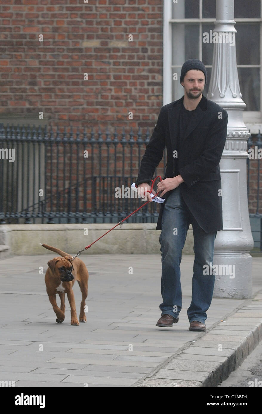 Watchmen star Matthew Goode hailing a taxi with his Boxer puppy Dublin ...