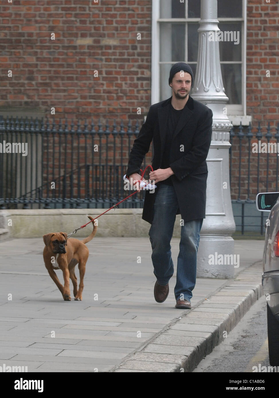Watchmen star Matthew Goode hailing a taxi with his Boxer puppy Dublin ...