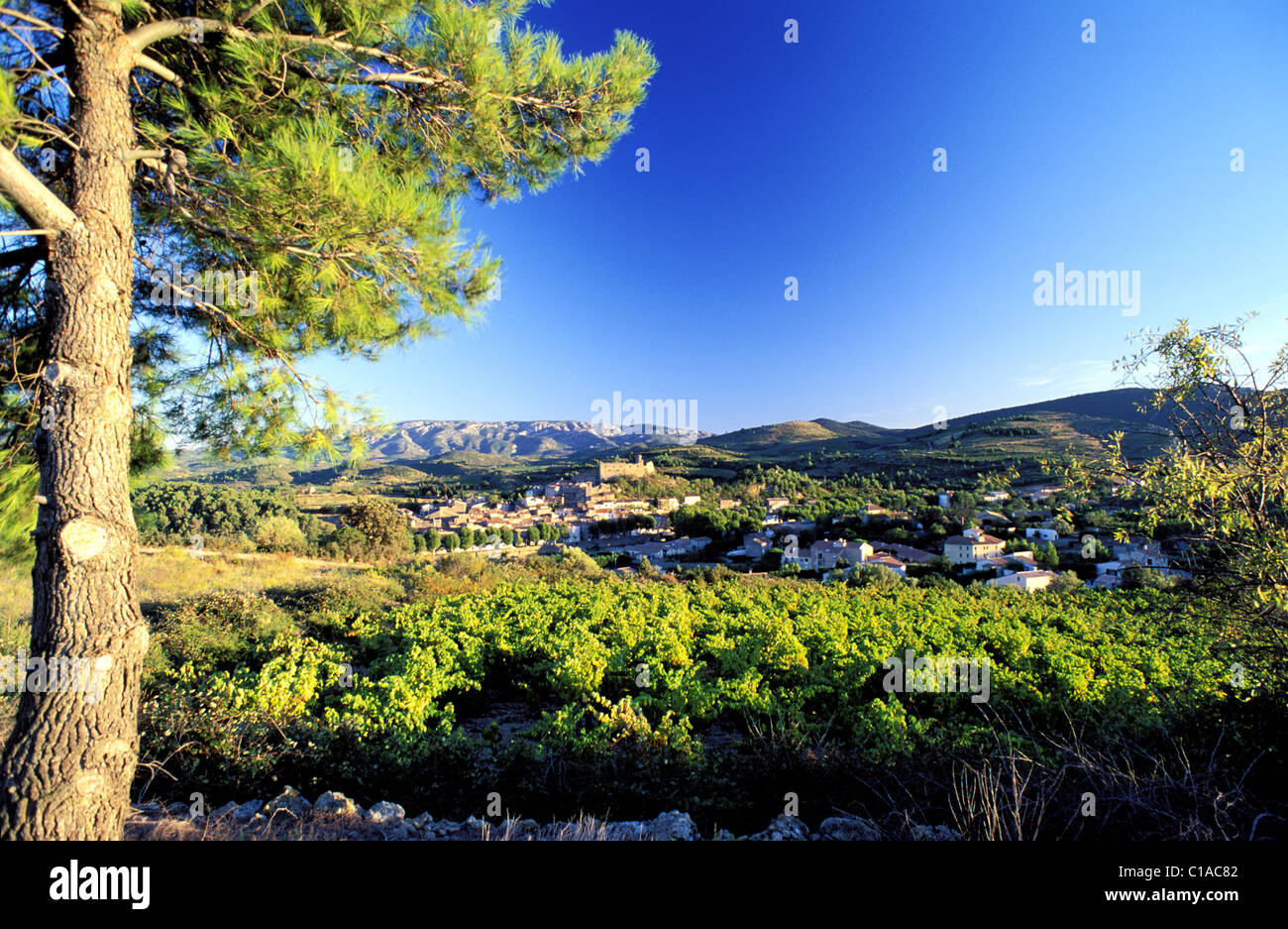 Village of durban les corbieres hi-res stock photography and images - Alamy