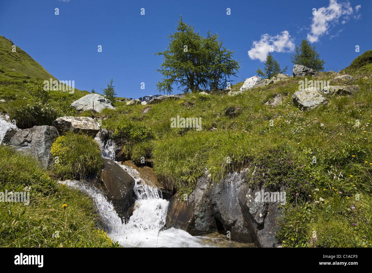 Alps creek brook rivulet beck hi-res stock photography and images - Alamy