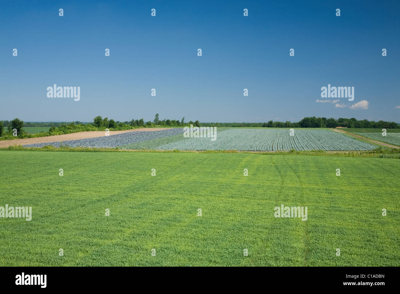 Québec land hi-res stock photography and images - Alamy