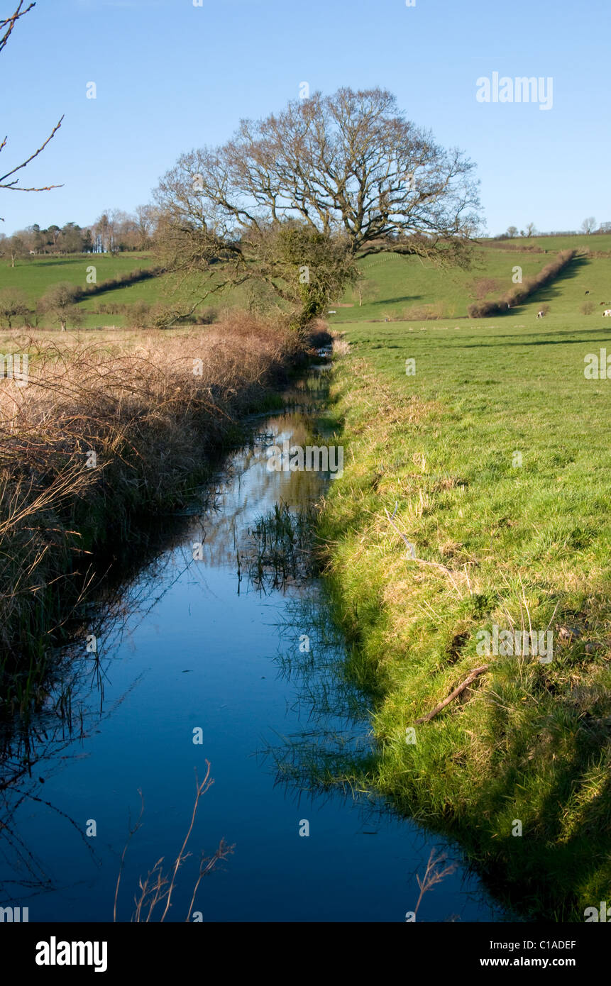 Somerset levels drainage ditch hi-res stock photography and images - Alamy