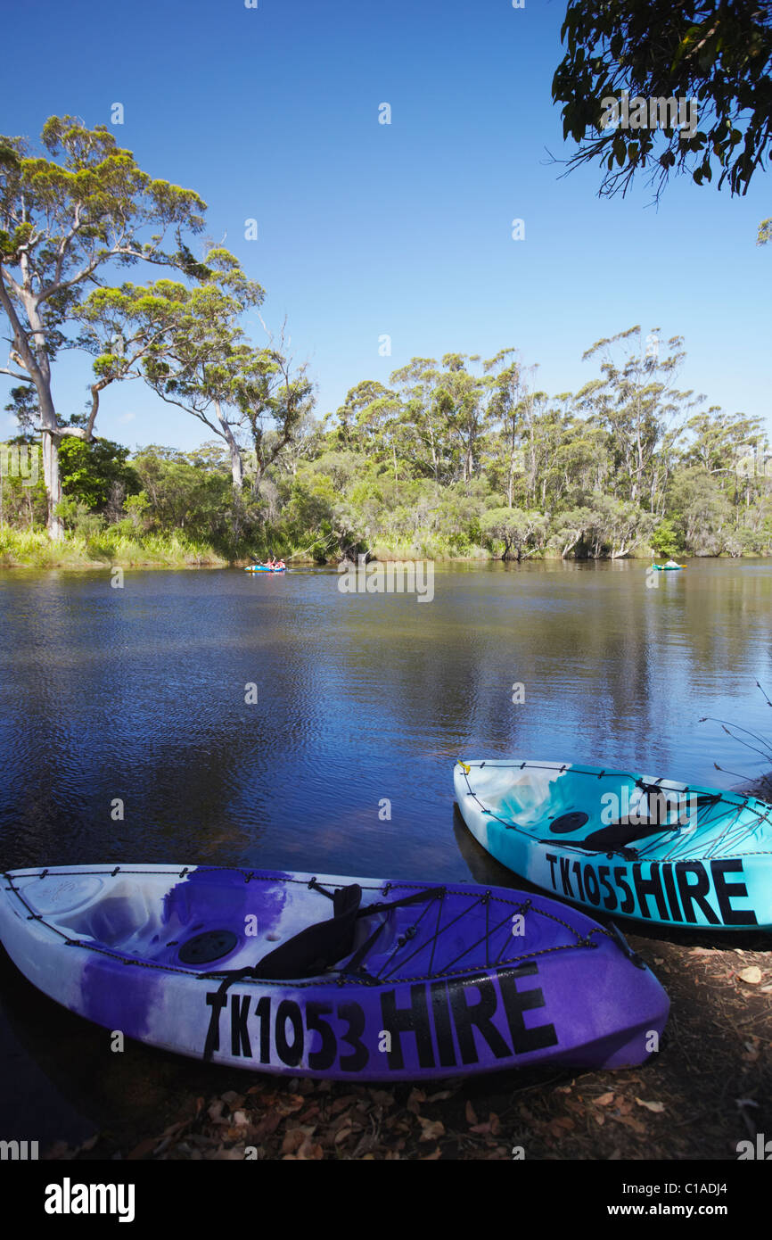 People kayaking on river, Denmark, Western Australia, Australia Stock ...