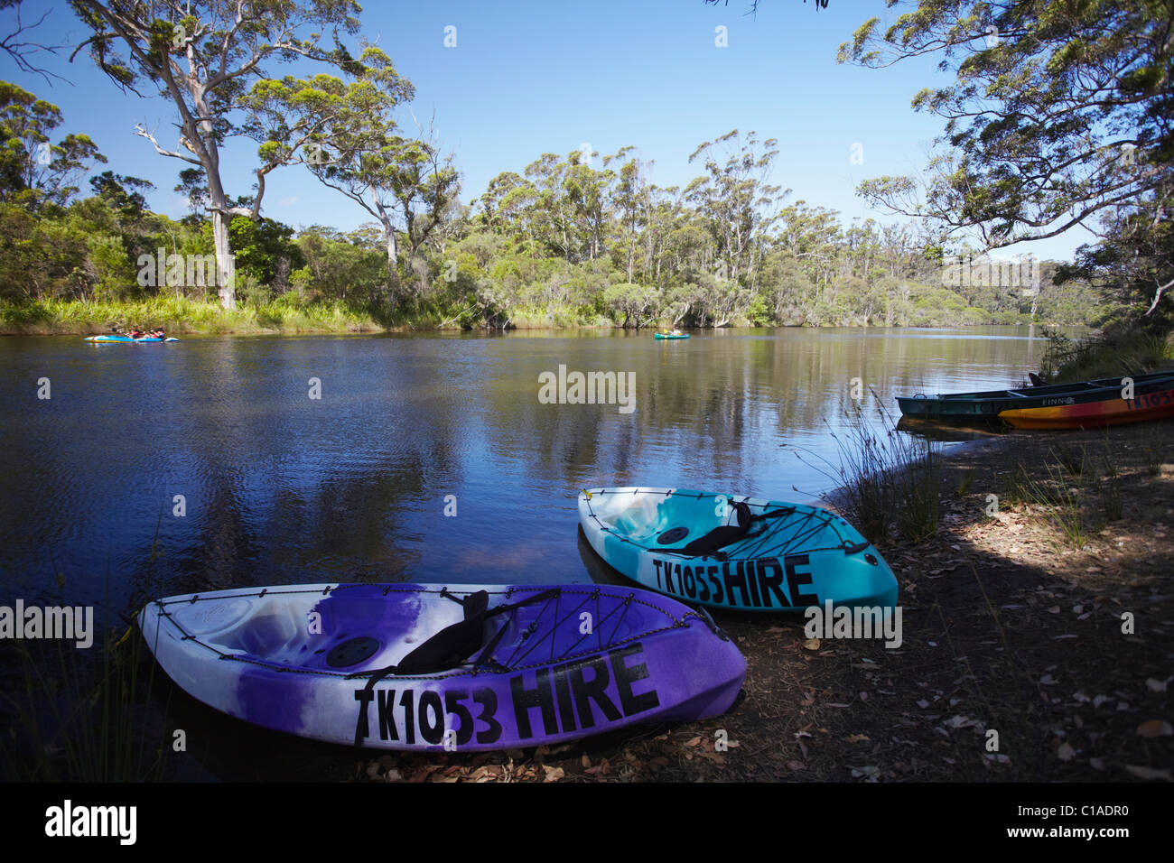 People kayaking on river, Denmark, Western Australia, Australia Stock ...