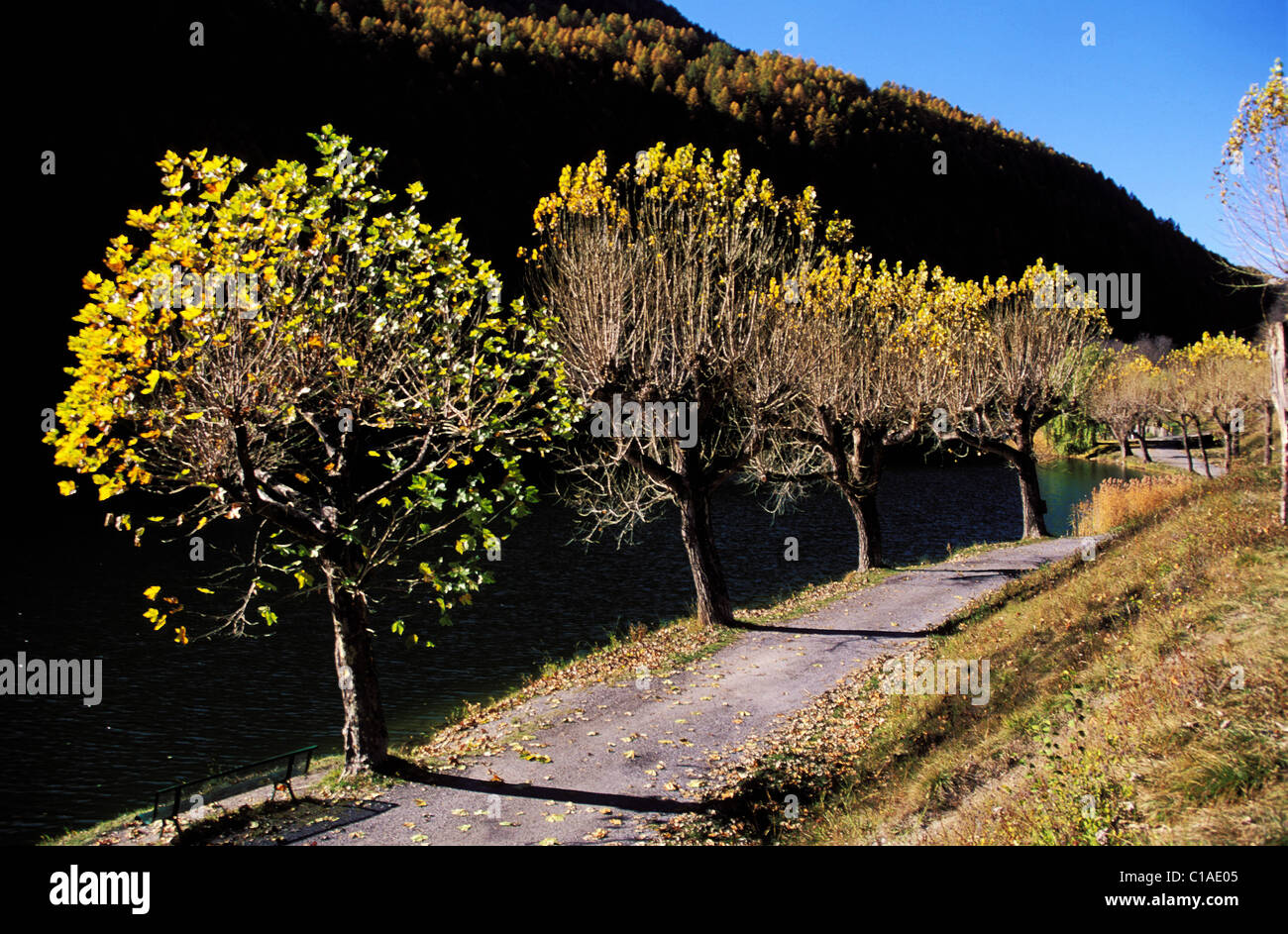 France, Alpes de Haute Provence, Nice back country, Ubaye valley during ...