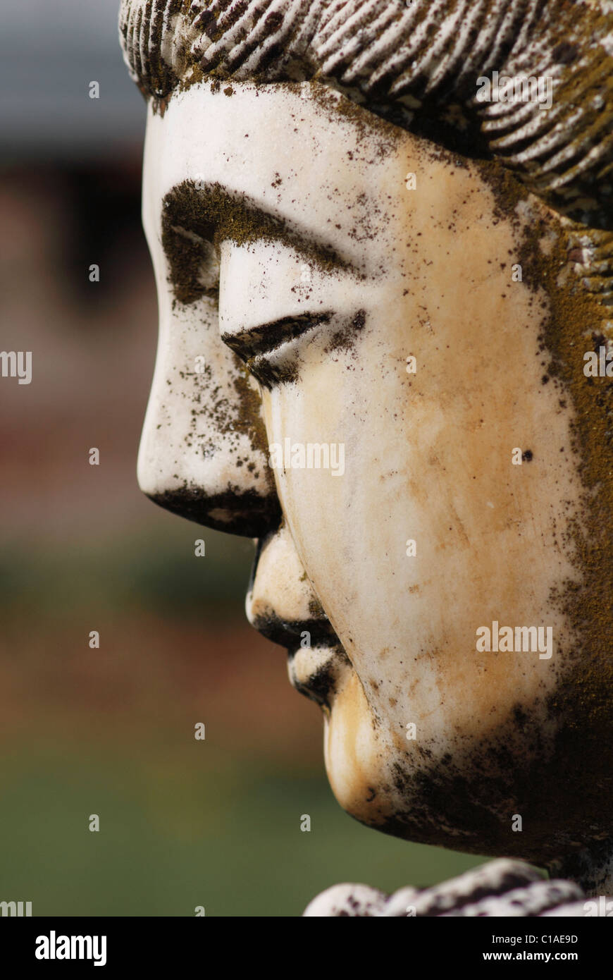 Buddha statue profile Stock Photo - Alamy