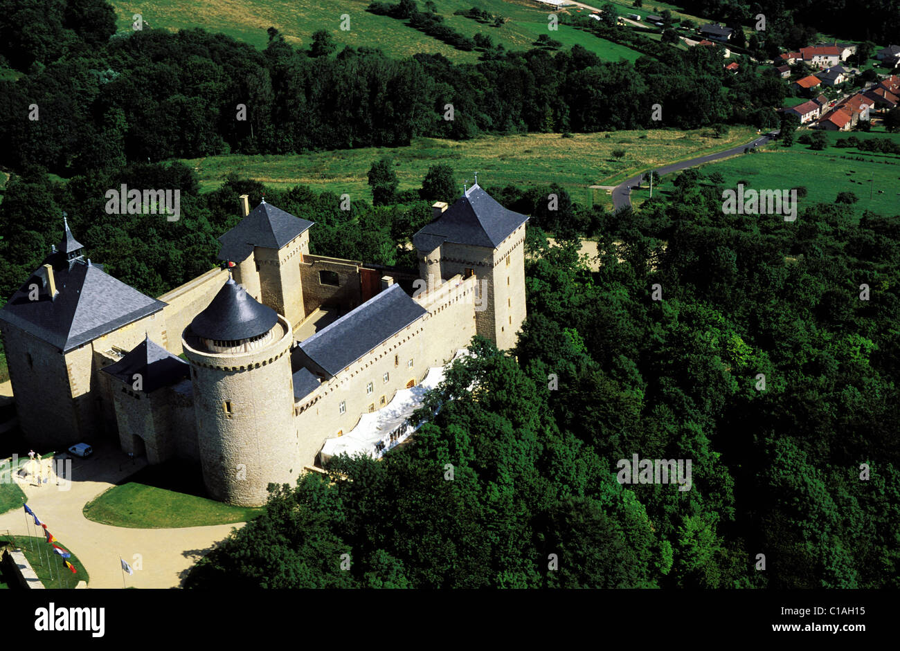 France, Moselle, Malbrouck castle (aerial view Stock Photo - Alamy