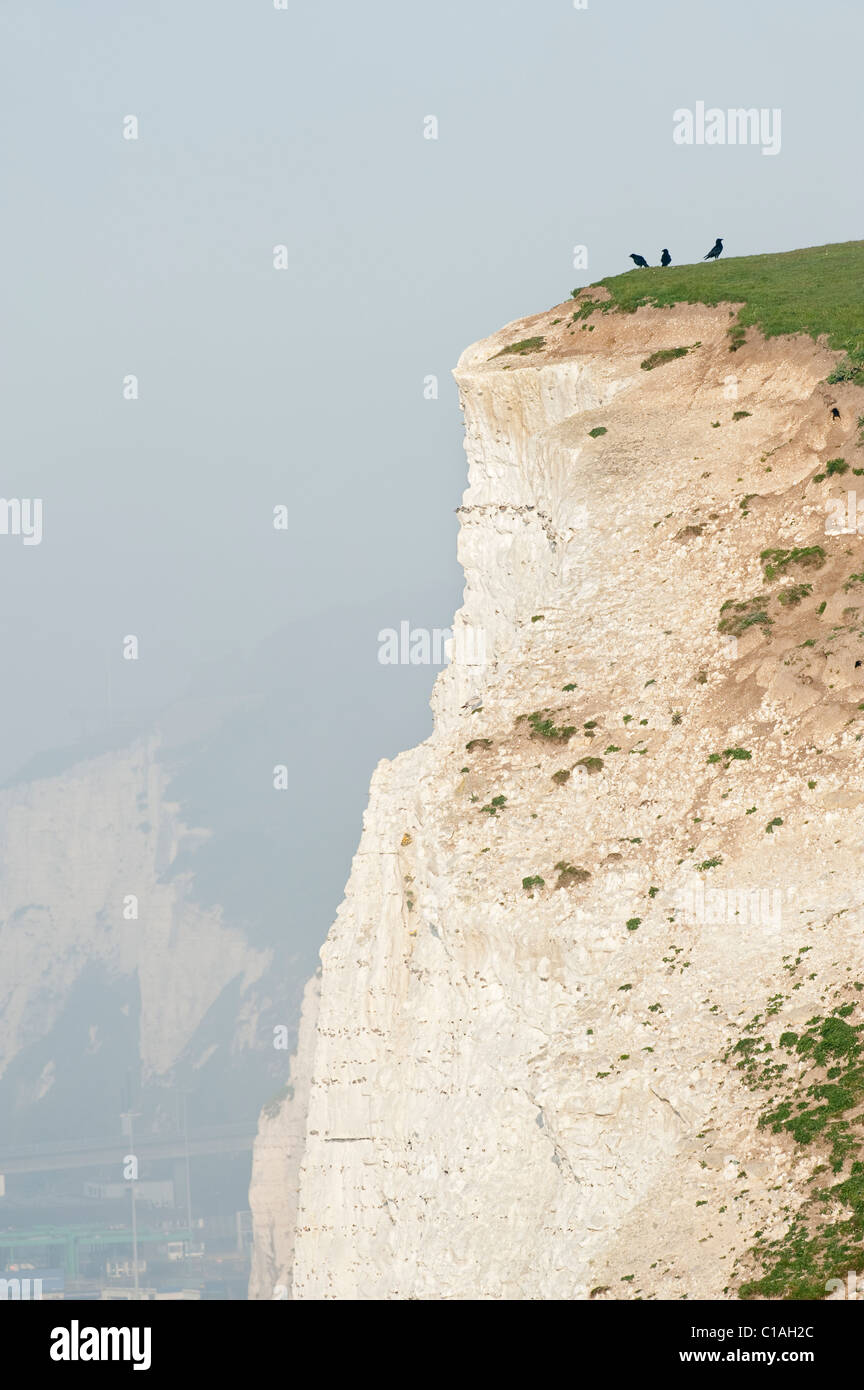 Raven cliffs hi-res stock photography and images - Alamy