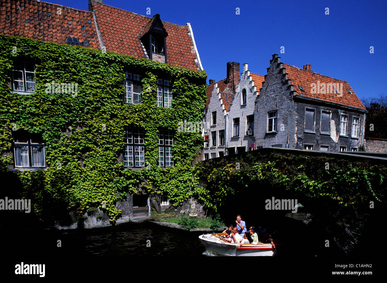 Groen hi-res stock photography and images - Alamy