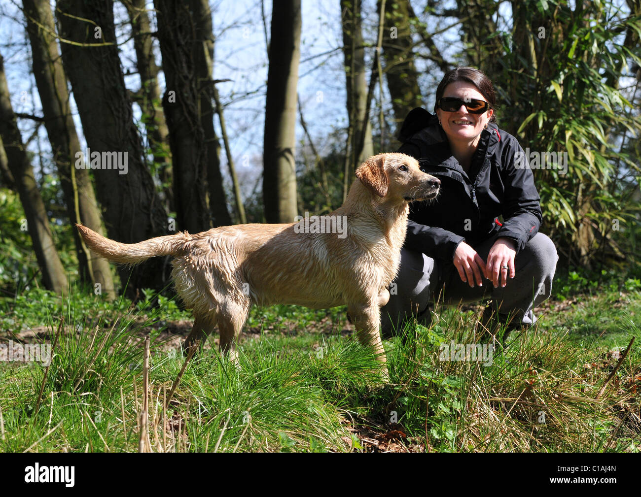 A 6 month old Labrador retriever with owner Stock Photo - Alamy