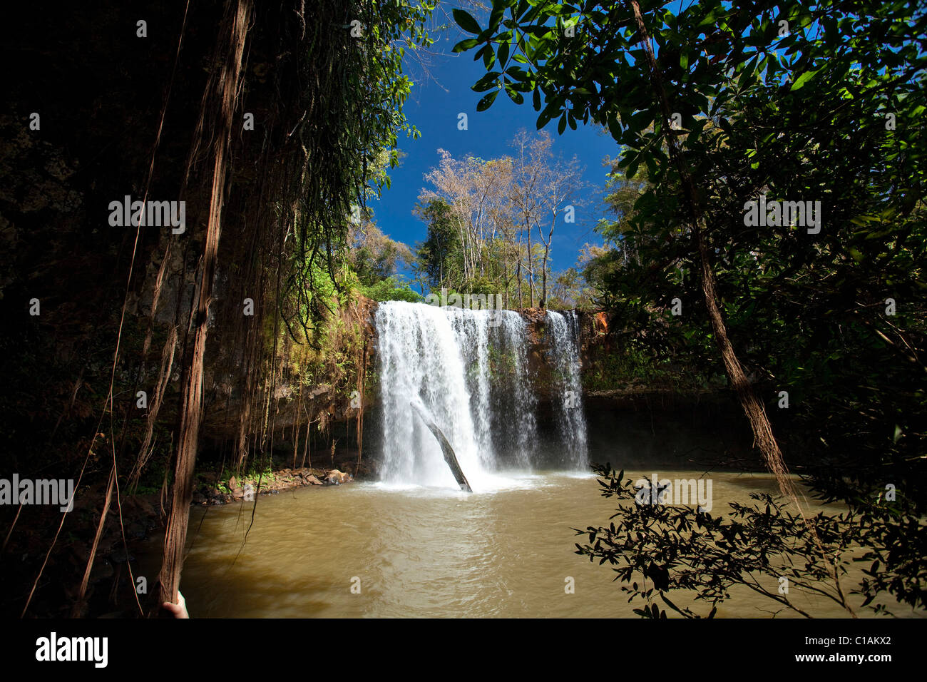 Ratanakiri, Cambodia, Southeast Asia Stock Photo - Alamy