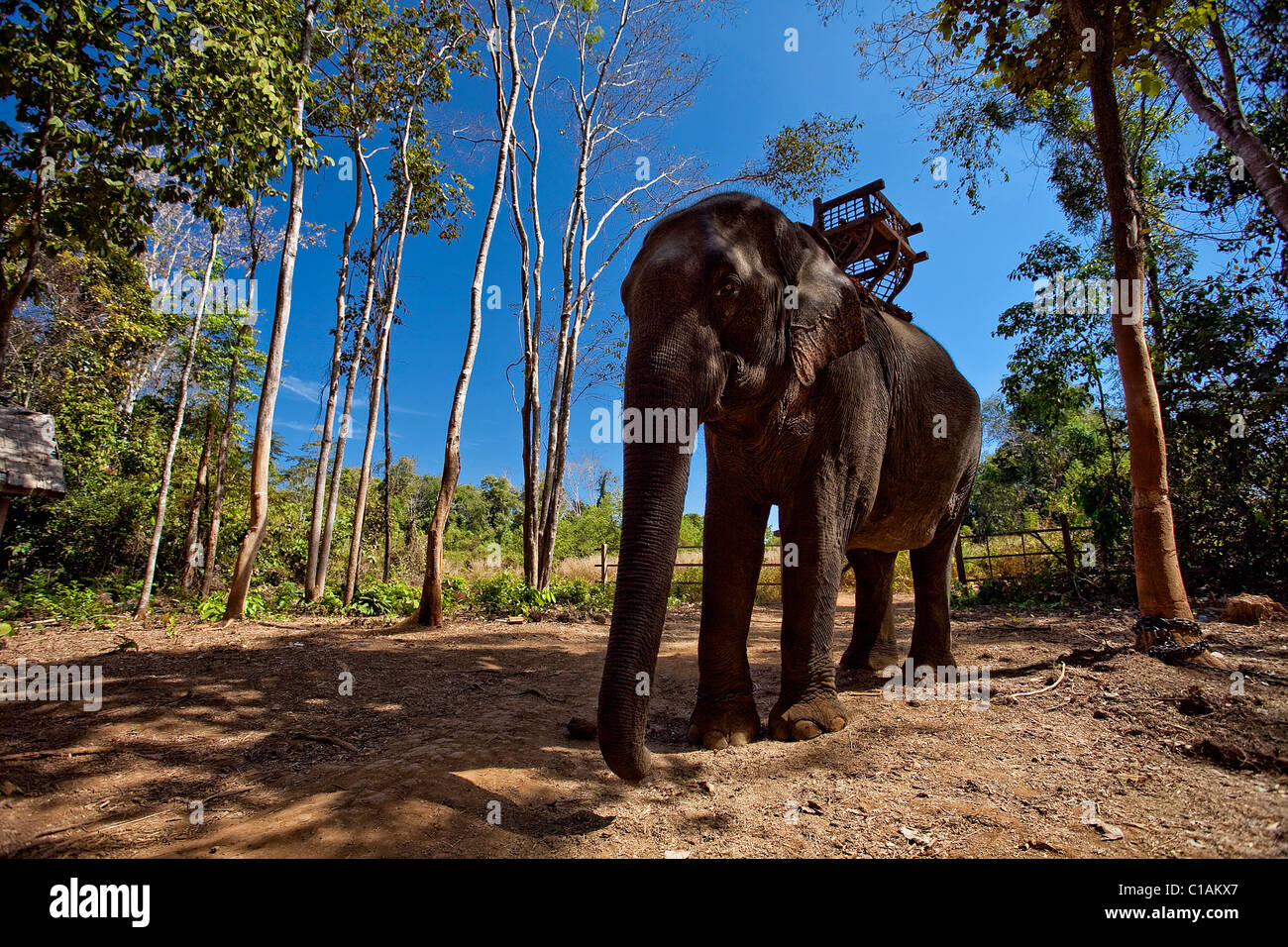 Ratanakiri, Cambodia, Southeast Asia Stock Photo - Alamy