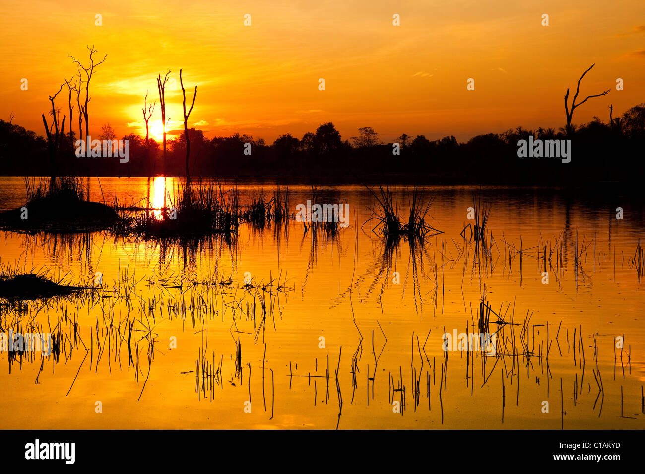 Ratanakiri, Cambodia, Southeast Asia Stock Photo - Alamy