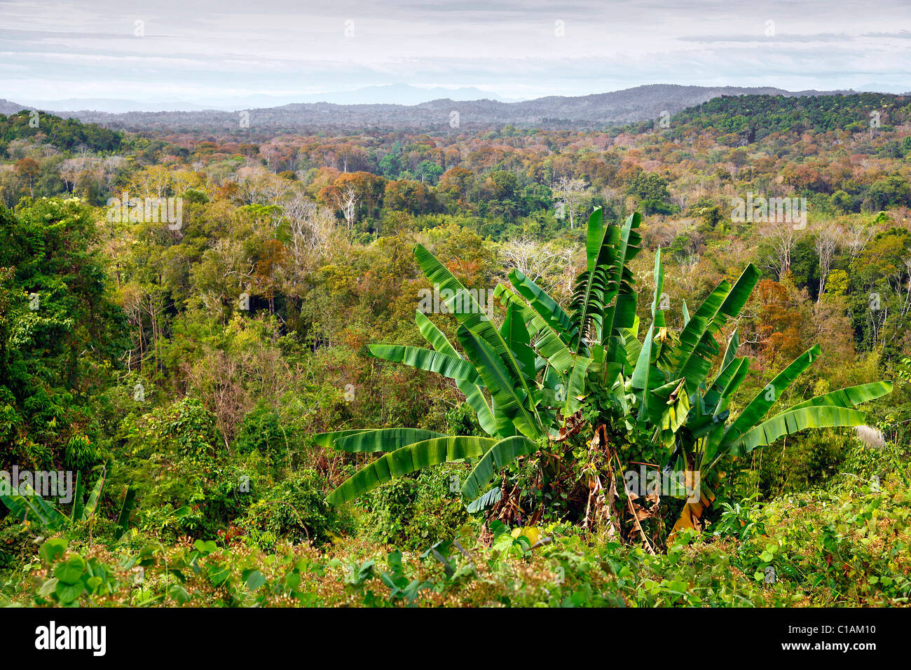 Ratanakiri, Cambodia, Southeast Asia Stock Photo - Alamy