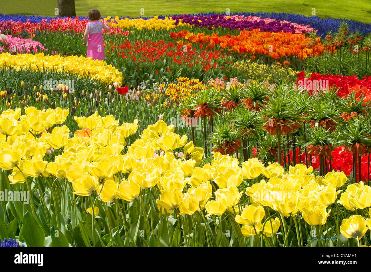 Spring Has Sprung Images