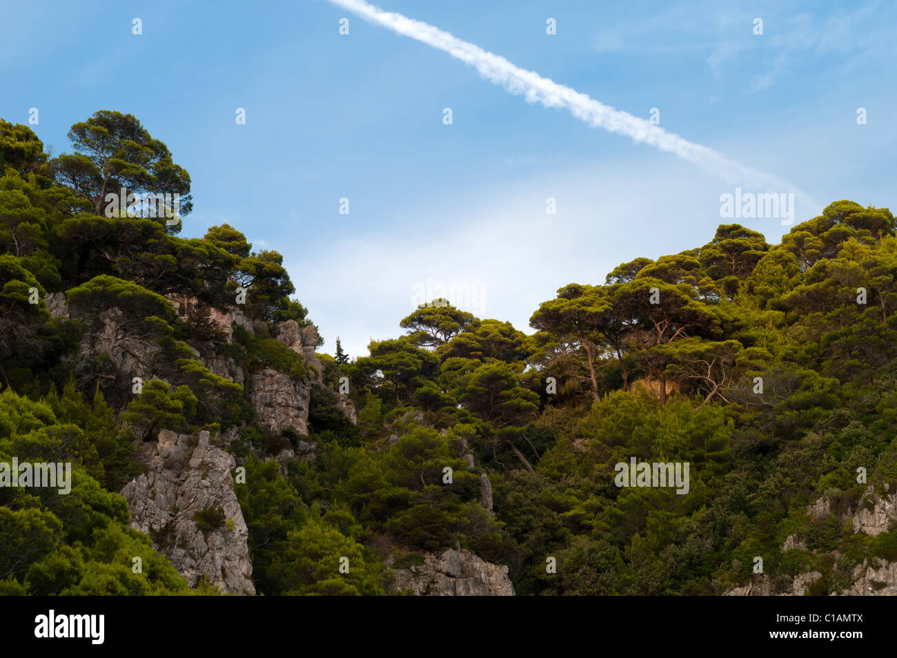 Mediterranean vegetation hi-res stock photography and images - Alamy