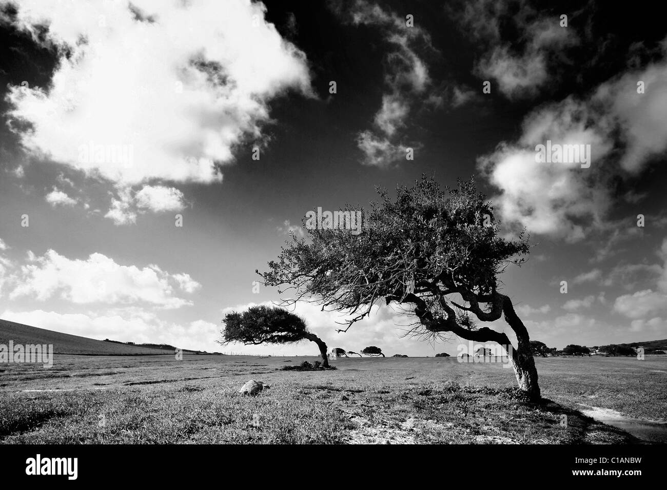 Windy clouds Black and White Stock Photos & Images - Alamy