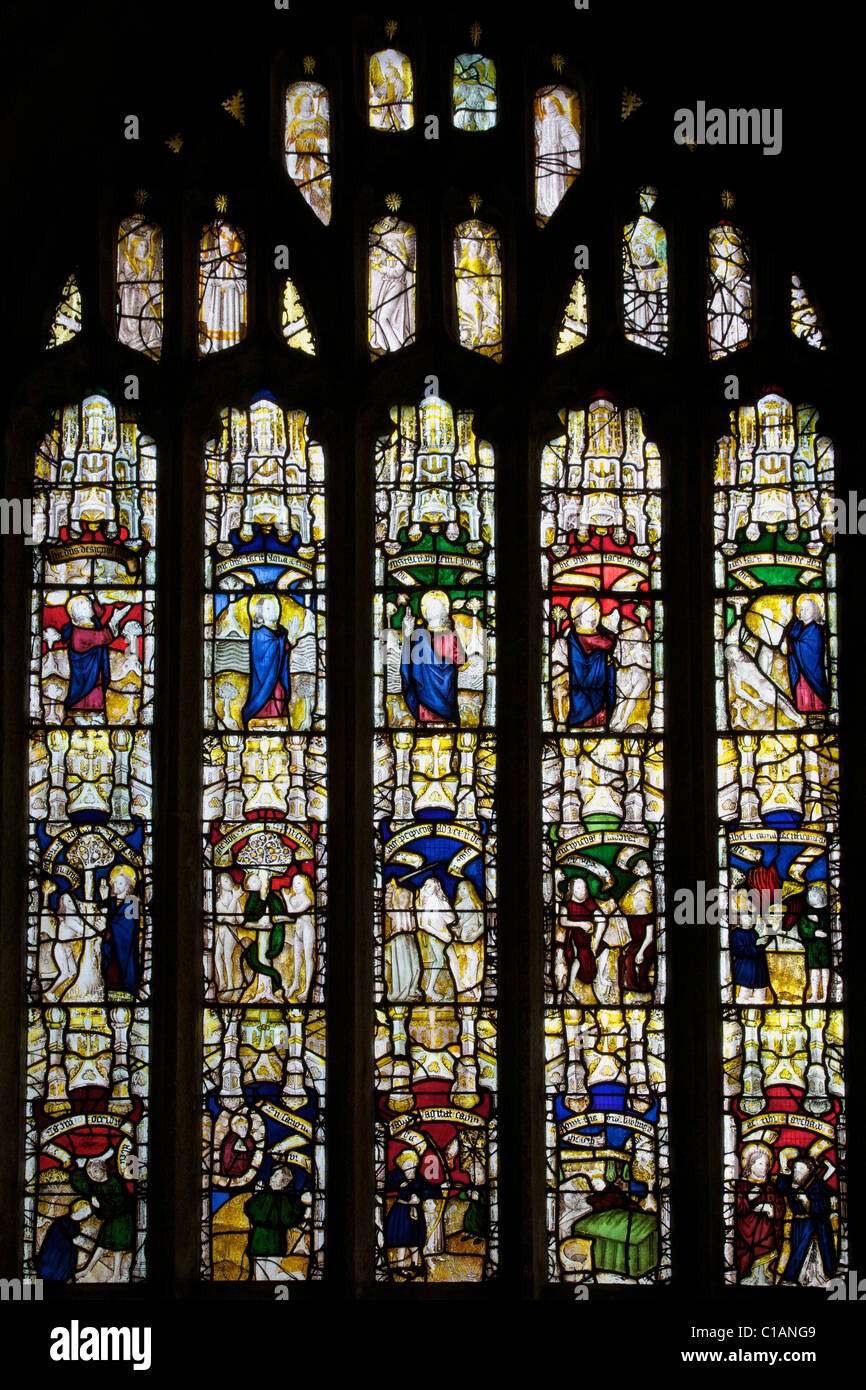 Creation Window Church of St Neot Medieval english stained glass Bodmin ...