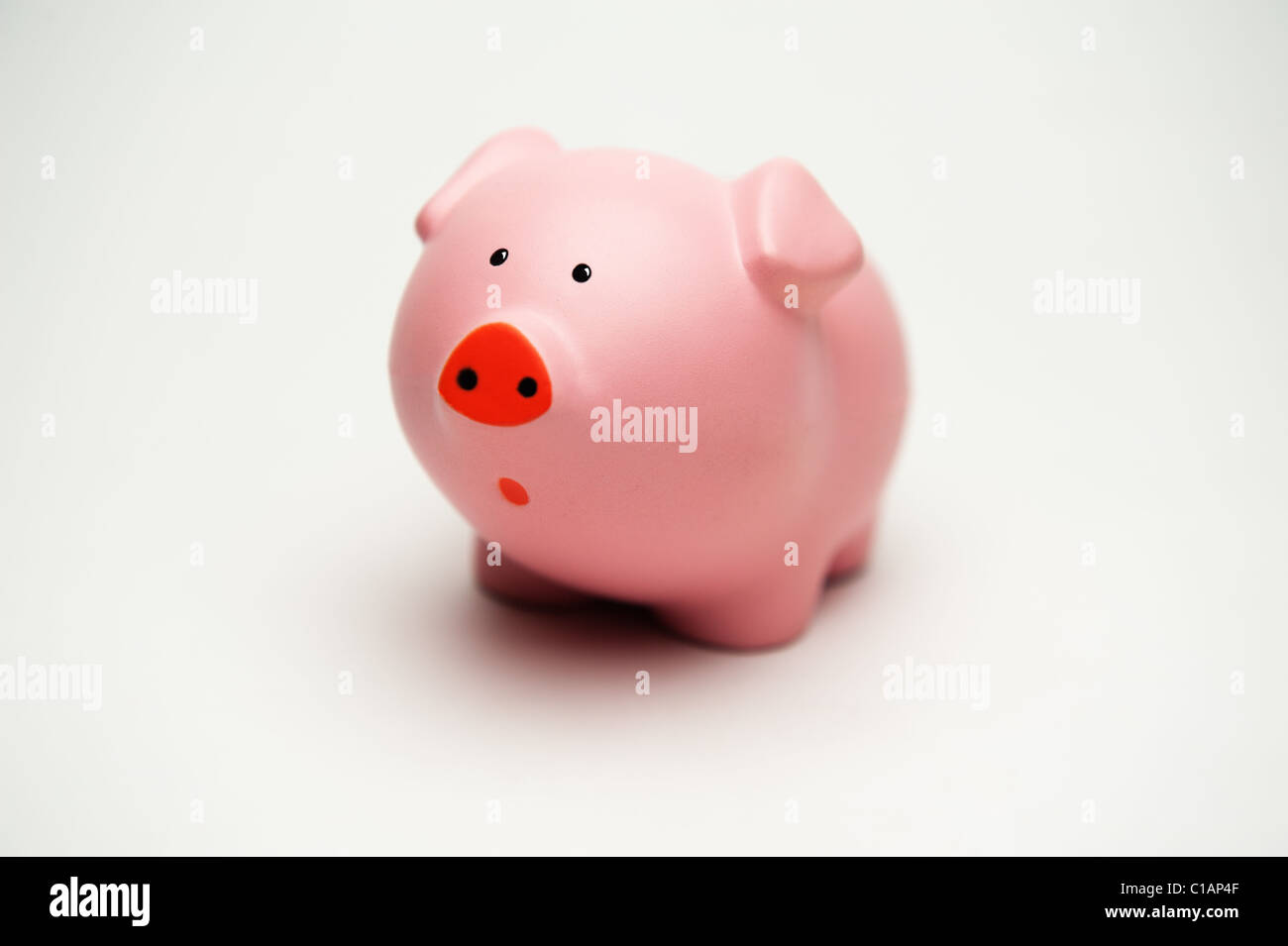 Worried pig hi-res stock photography and images - Alamy