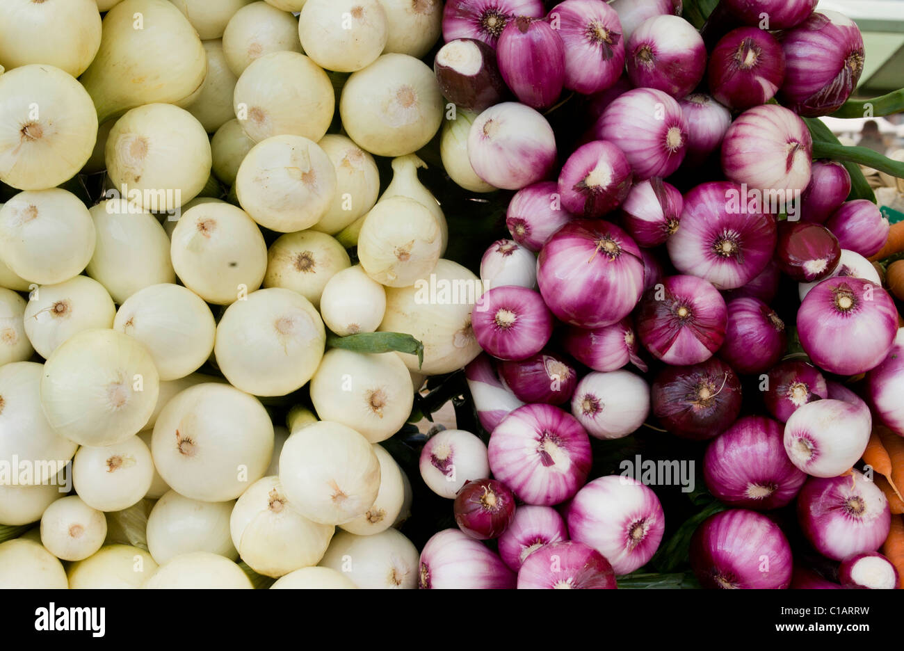 Lots of onions at the market square Stock Photo - Alamy