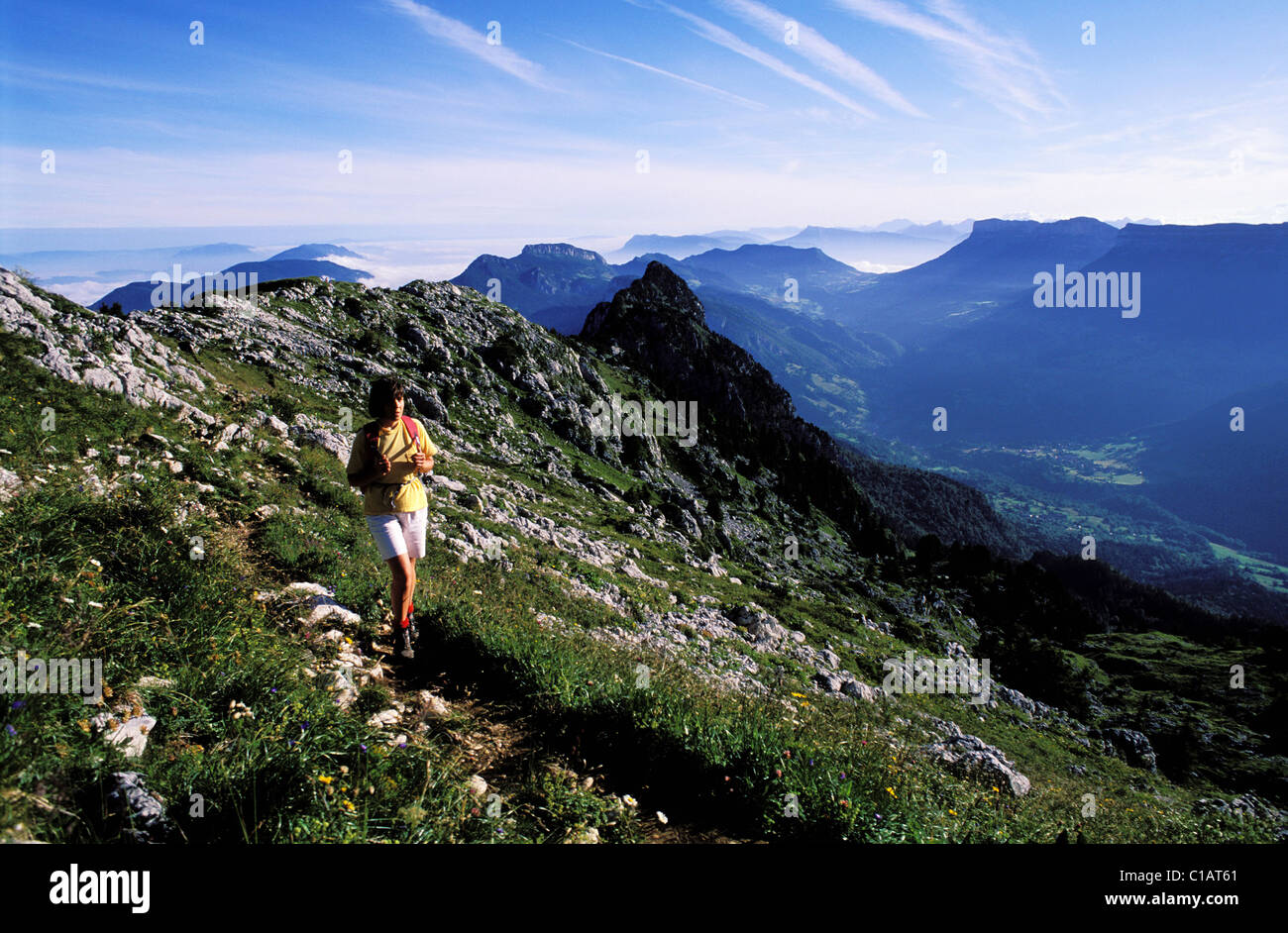 France, Isere, hike to the Grand Som in the Chartreuse natural regional ...
