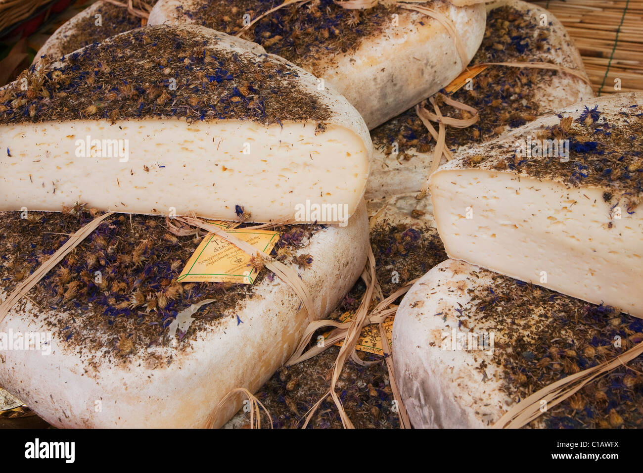 Moncalvo National Truffle Fair, Tor di Monte cheese covered with dried ...