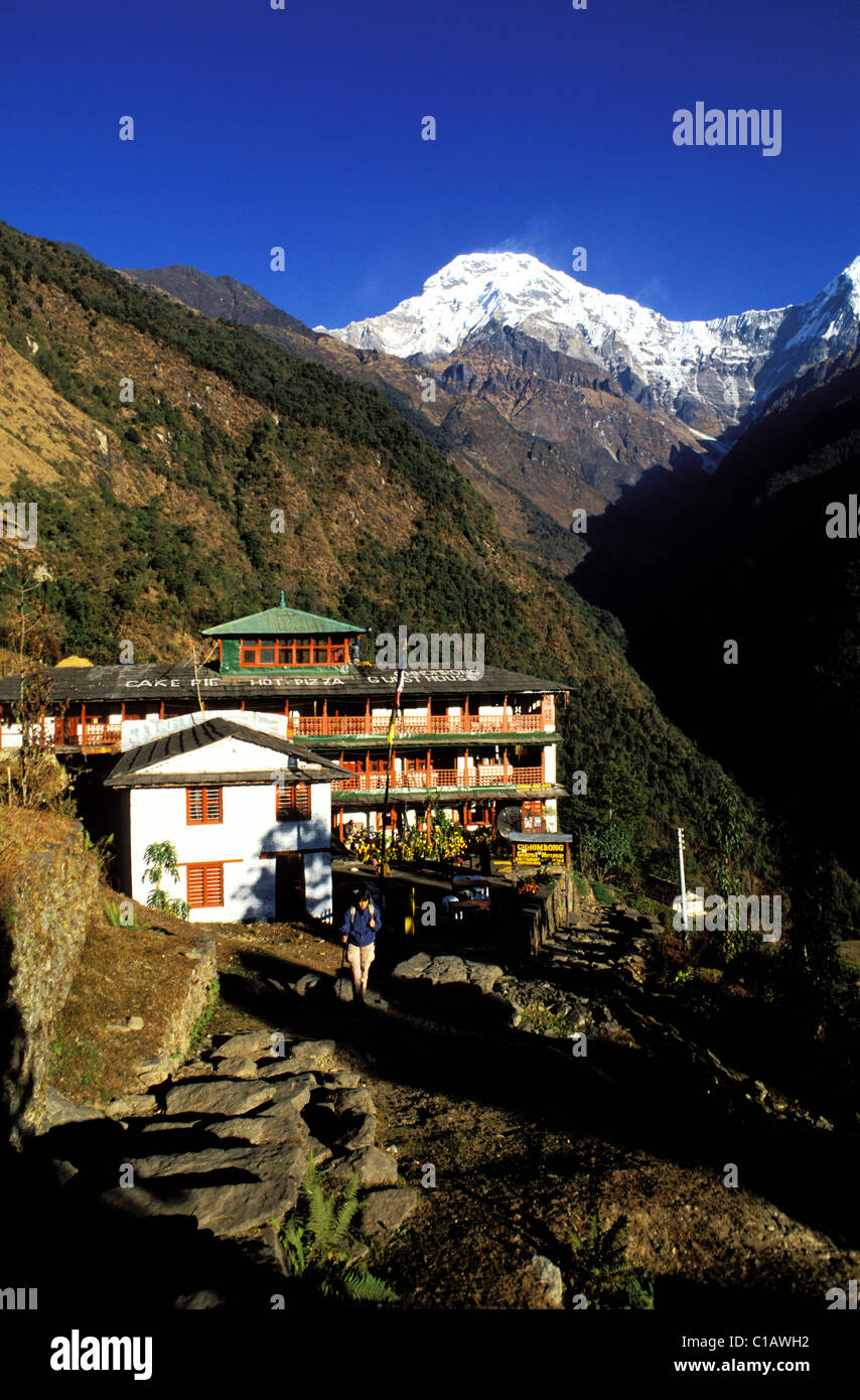 Nepal the Annapurnas region Chomrong (6562 ft) stop on the Annapurna ...