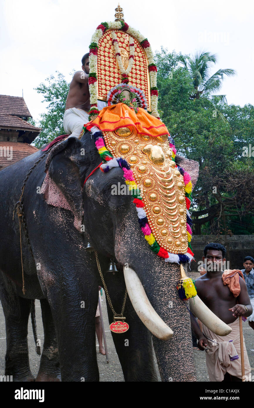 Elephant, Thrissur Pooram festival, Thrissur, Kerala, India, Asia Stock ...