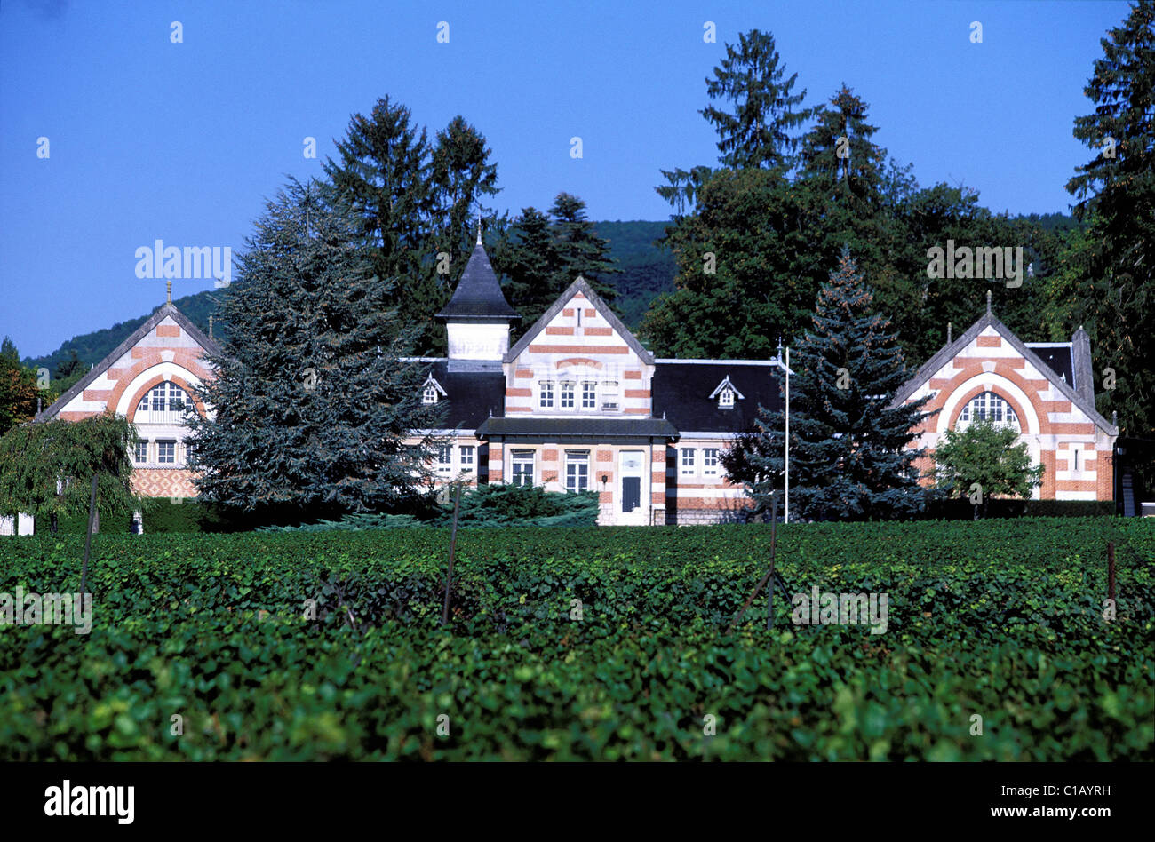 France, Cote d'Or, Savigny les Beaune, the mansion and Henri de ...