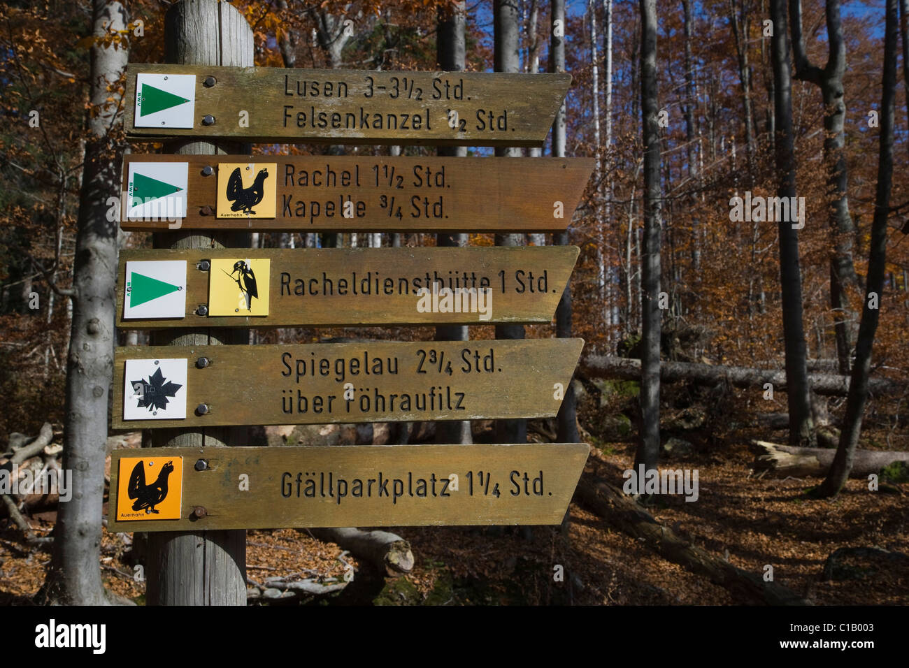 Information signs along the paths, Bavarian Forest National Parck ...