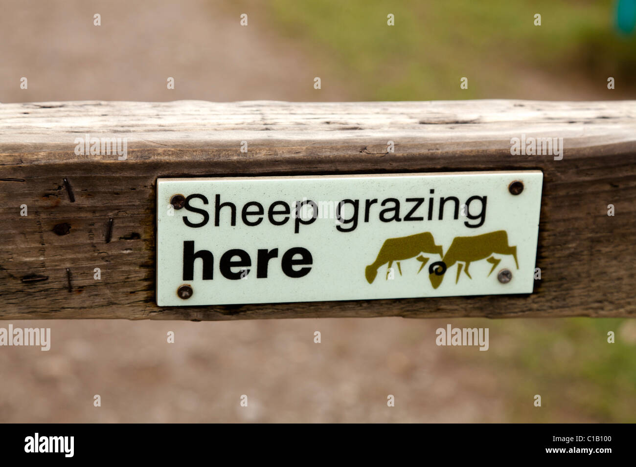 Sheep grazing sign hi-res stock photography and images - Alamy
