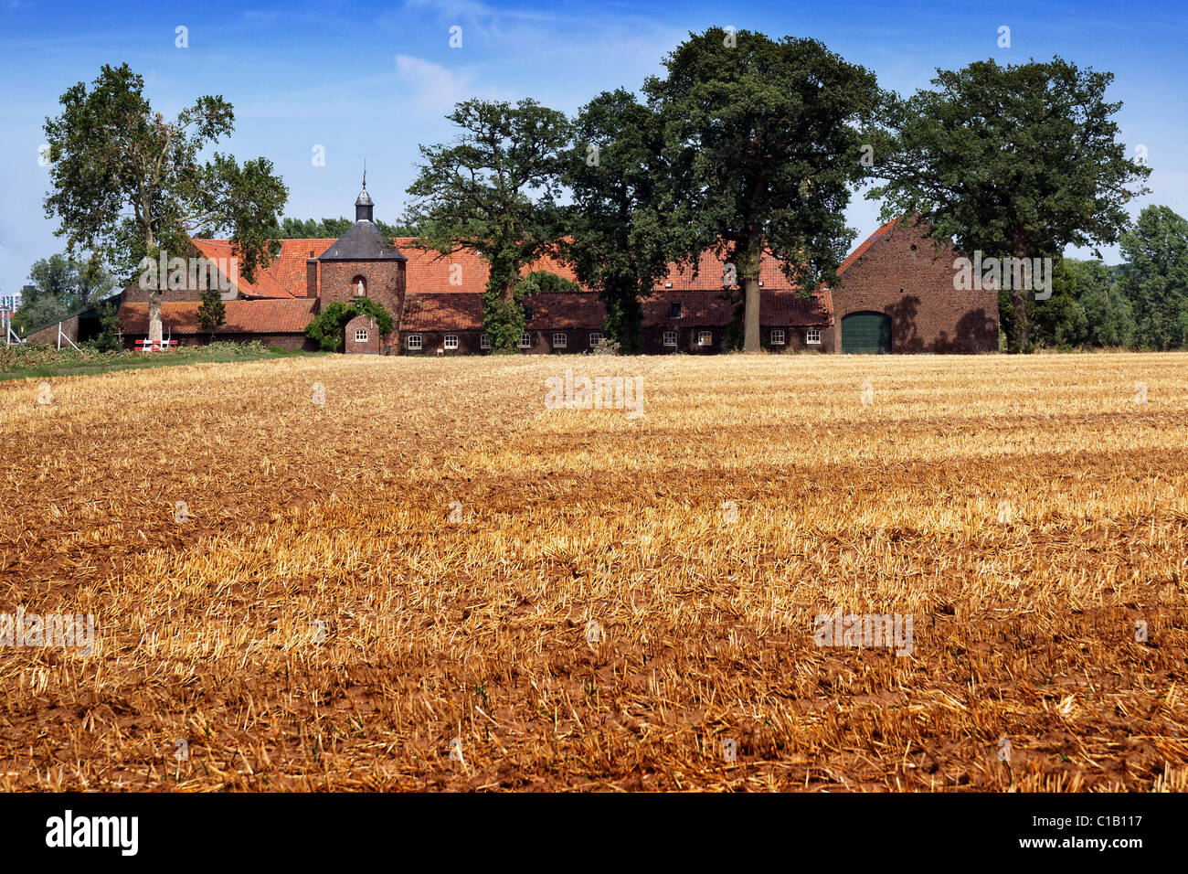 farm house with corn field Stock Photo - Alamy